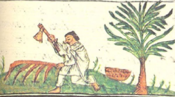 Medicina Azteca Antigua – Cultura Azteca